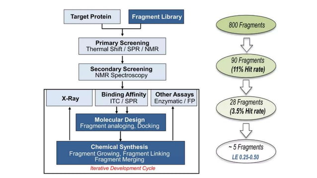 FRAGMENT BASED DRUG DESIGN .pptx