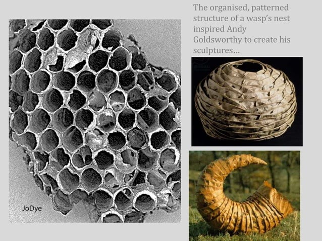 Fragments GCSE Art Exam 2018