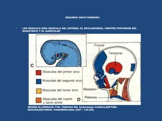 Embriologia | PPTX