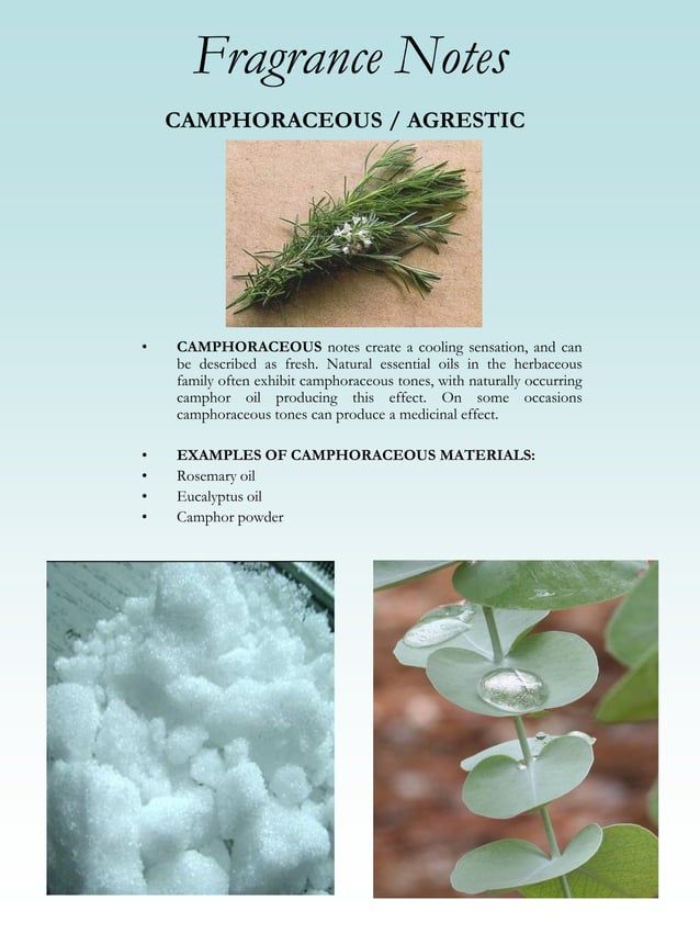 Fragrance class | PDF