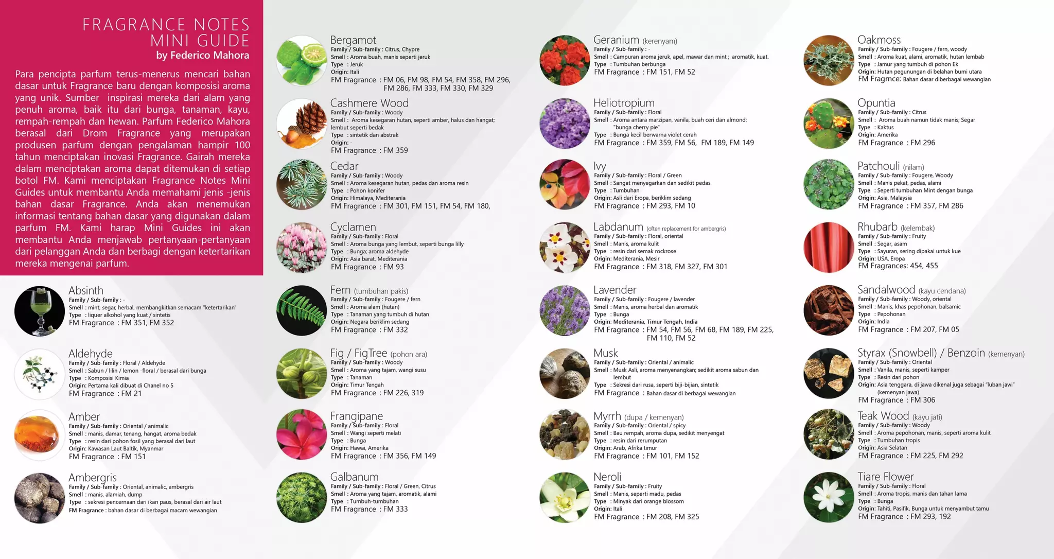 Fragrance note guides | PDF