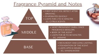Fragrances.pdf