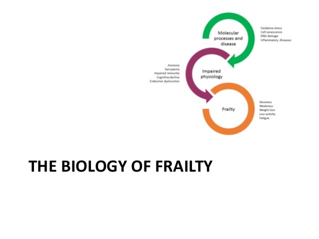 Frailty | PDF