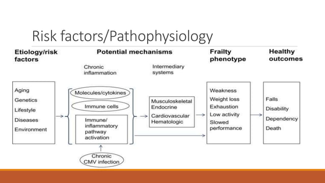 Frailty in older adults: Myths and Facts | PPTX | Physical Therapy ...