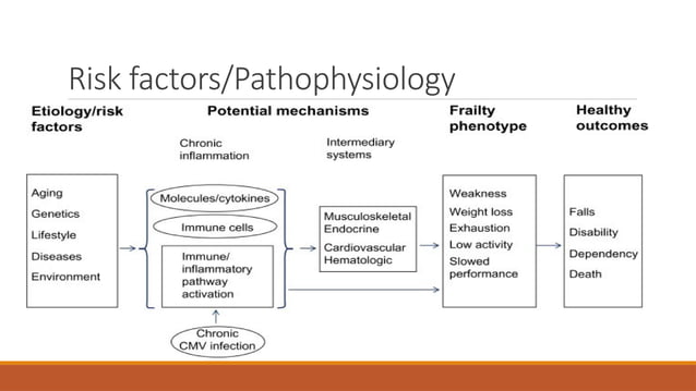 frailty in older adults: Myths and facts.pptx