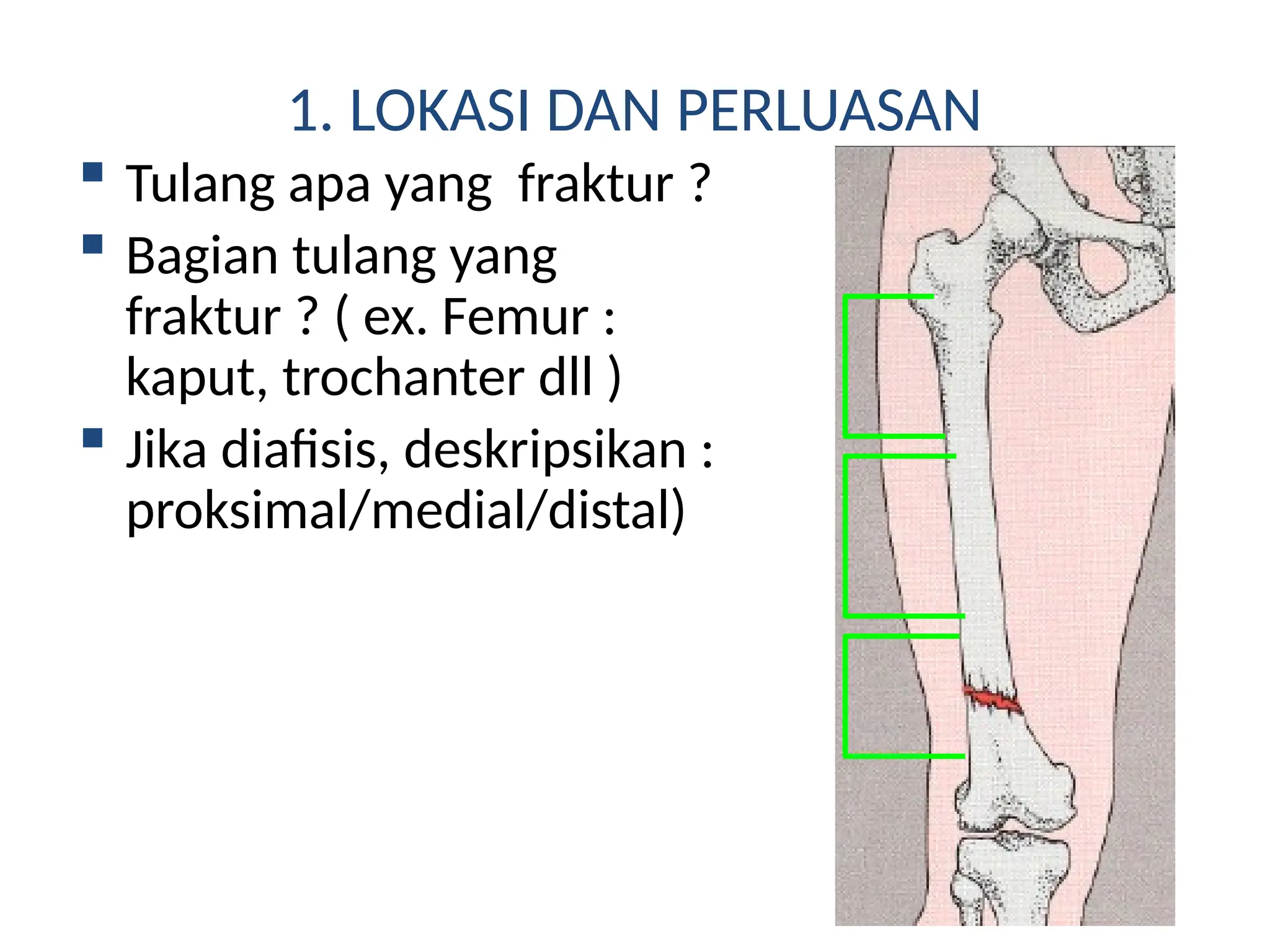 Fraktir tulang: Lokasi anatomi dan perluasan Tipe fraktur Alignment dan ...