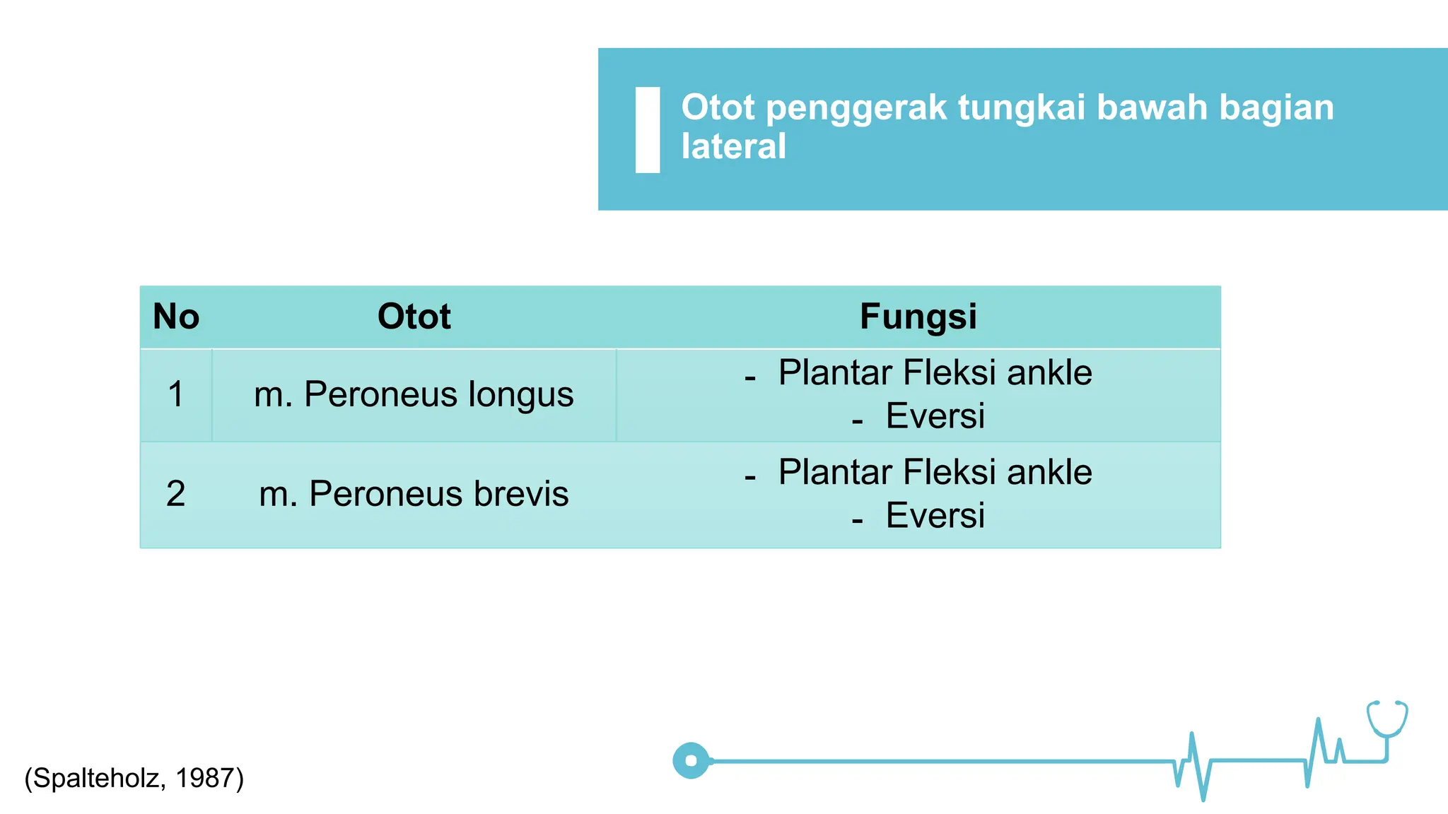 Fraktur tibia fisiologi anatomy assessmrnt | PDF