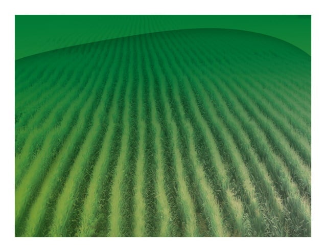 Robb fraley_2009_sustainable-agriculture.pdf