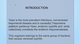 Frambesia | PPTX | Infectious Diseases | Diseases and Conditions