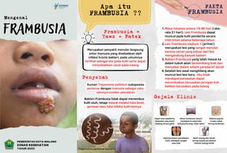 FRAMBUSIA-2-1.pdf