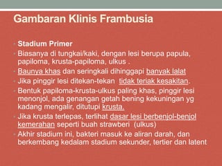 FRAMBUSIA.pptx
