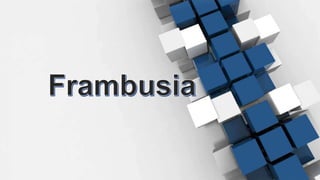Frambusia SkljkljklasjalksgzJGJHGzJzjhGjh | PPTX