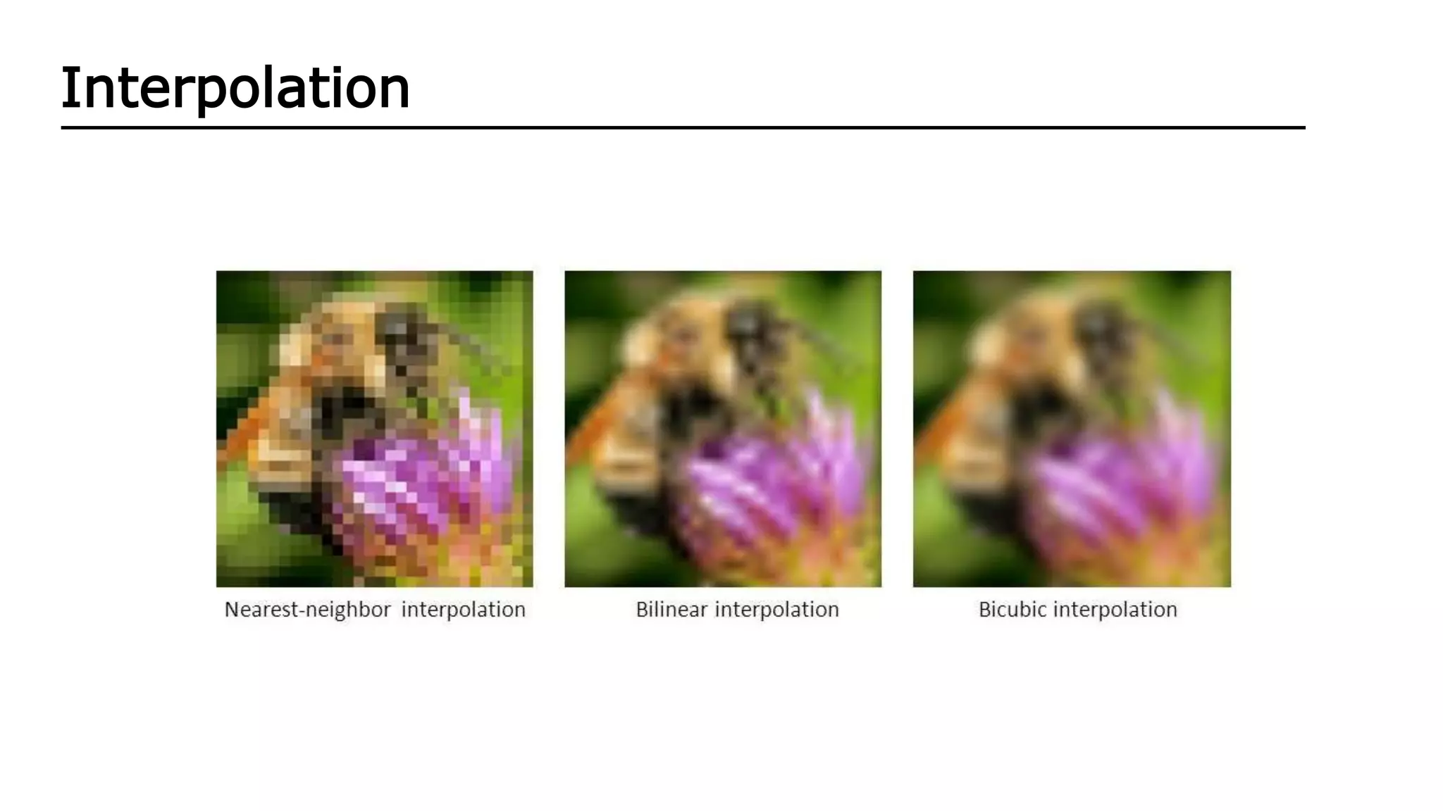 Latest Frame interpolation Algorithms | PPTX