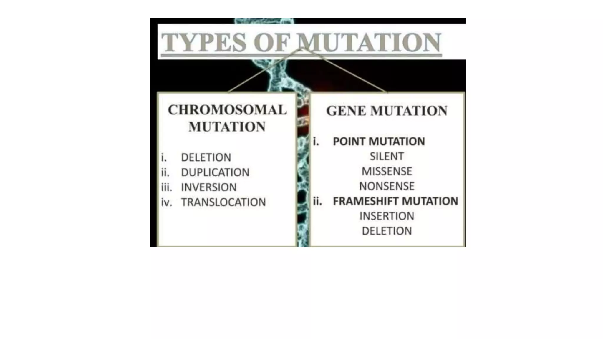 Frameshift mutagenesis.pptx