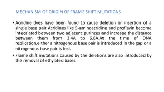 Frameshift mutagenesis.pptx
