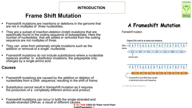frame shift mutation ppt.pdf