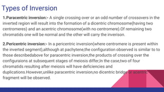 Frame Shift mutations | PPTX