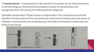 Frame Shift mutations | PPTX