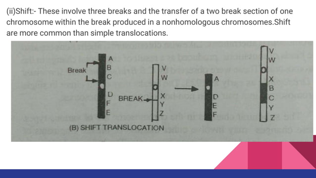 Frame Shift mutations | PPTX