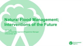 Natural flood management: Interventions of the future | PPTX | Water ...