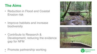 Natural flood management: Interventions of the future | PPTX | Water ...