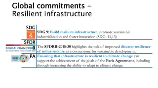 Frame work for country based capacity development on Resilient ...
