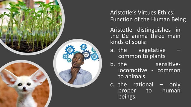 Frameworks-and-Principles-Behind-Moral-Disposition-1-2-1.pptx
