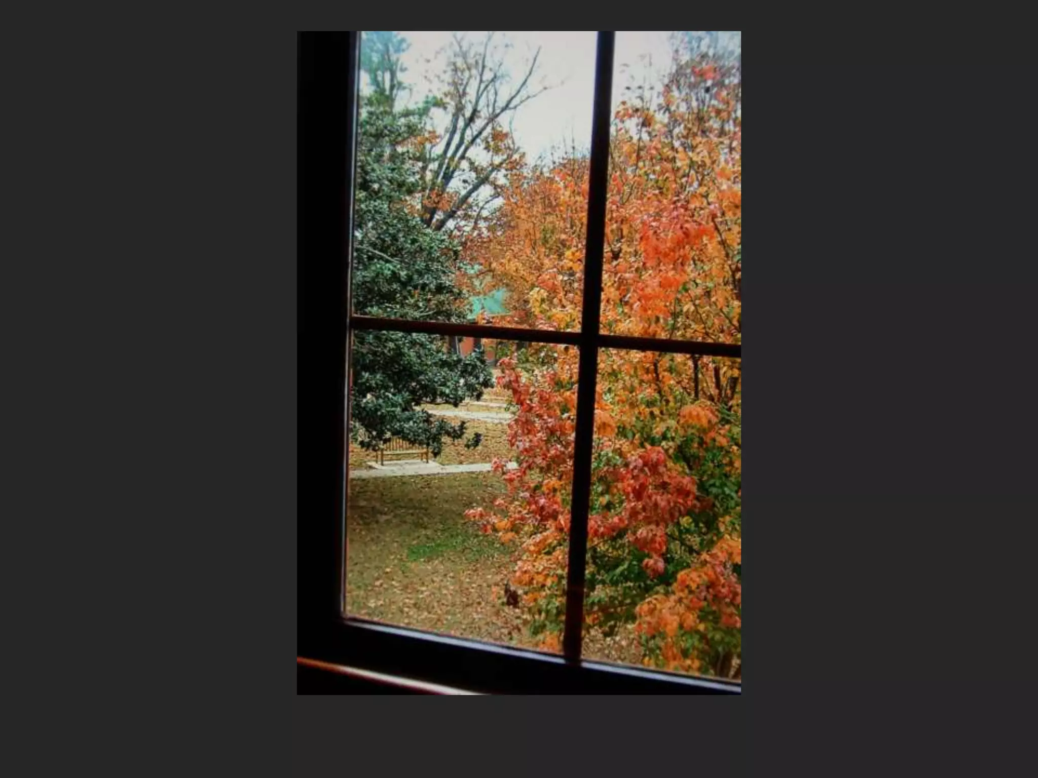 Photo Composition: Framing | PPT