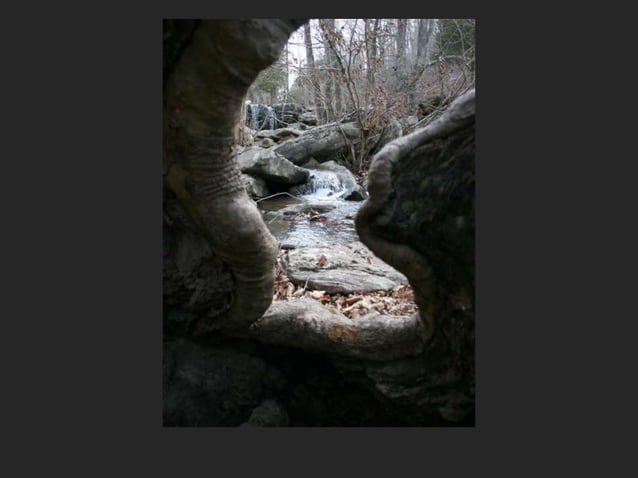 Photo Composition: Framing | PPT