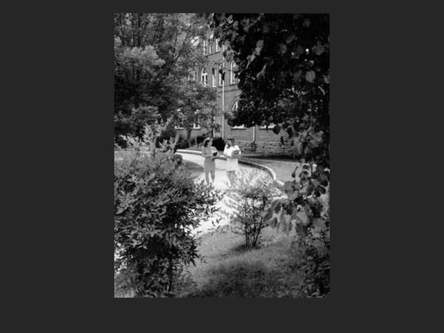 Photo Composition: Framing | PPT