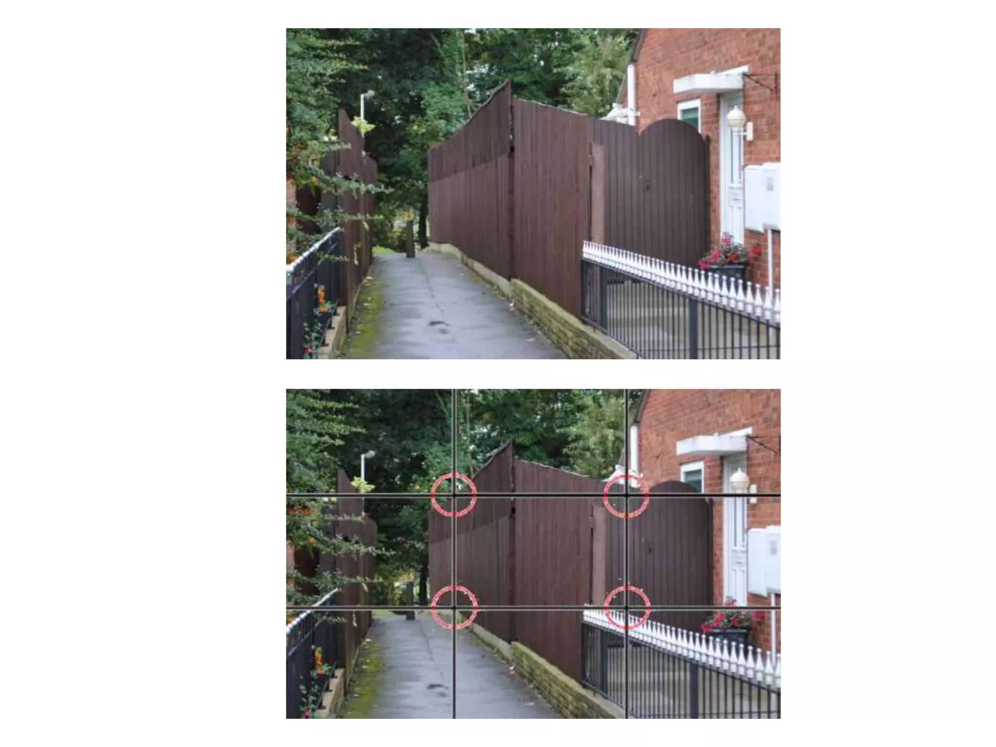 Framing and composition.pptx