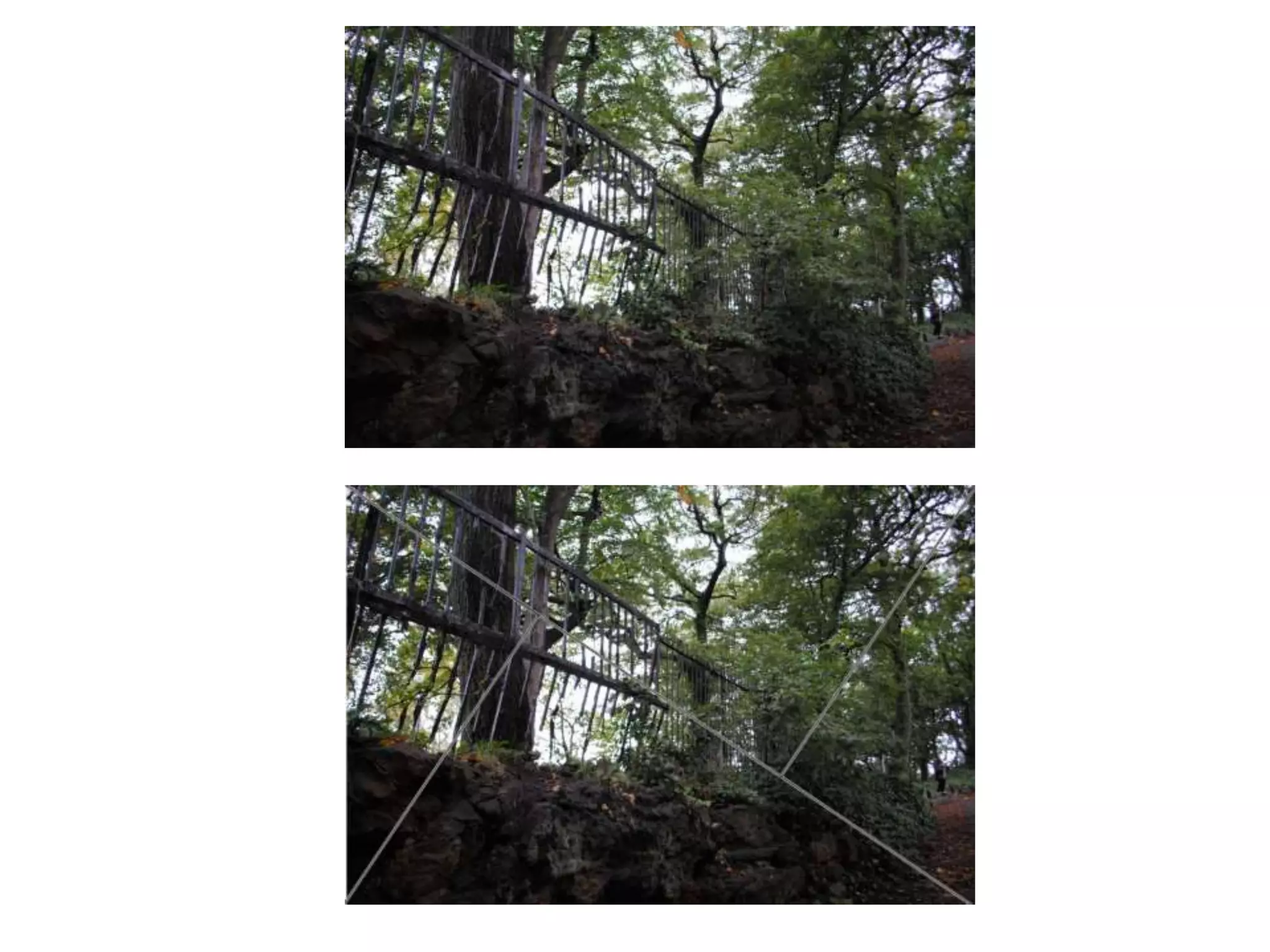 Framing and composition.pptx