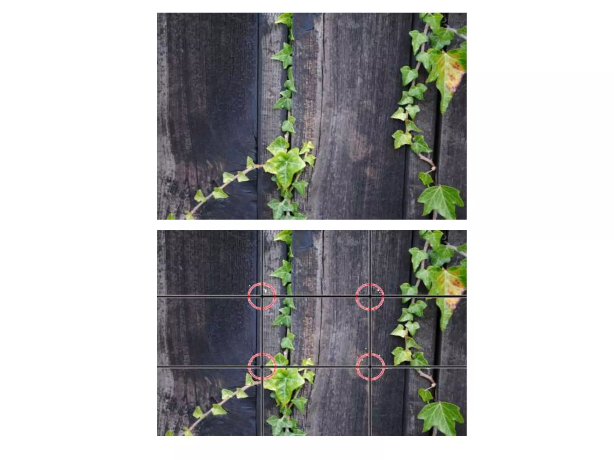 Framing and composition.pptx