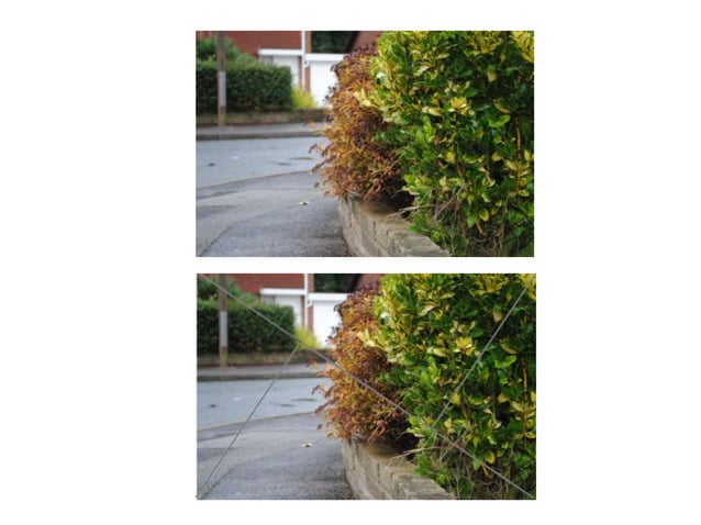 Framing and composition.pptx