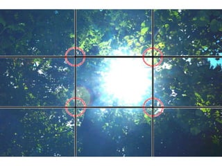 Framing and composition | PPTX