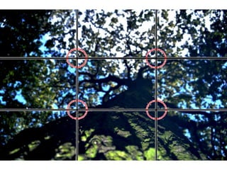 Framing and composition | PPTX