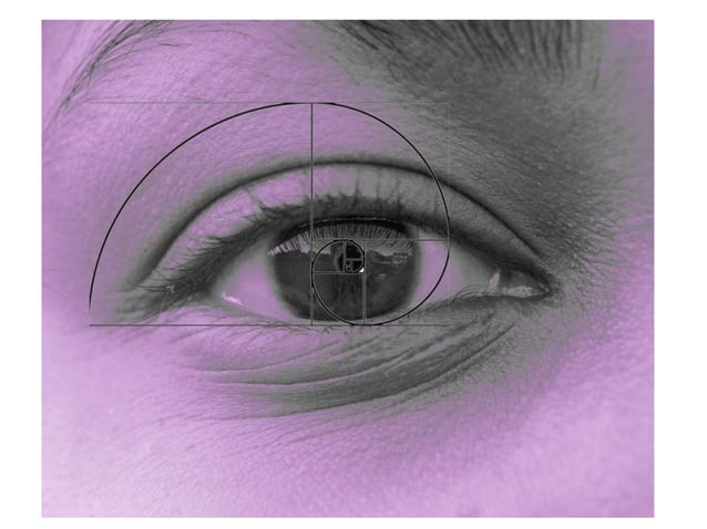 Framing and composition | PPTX