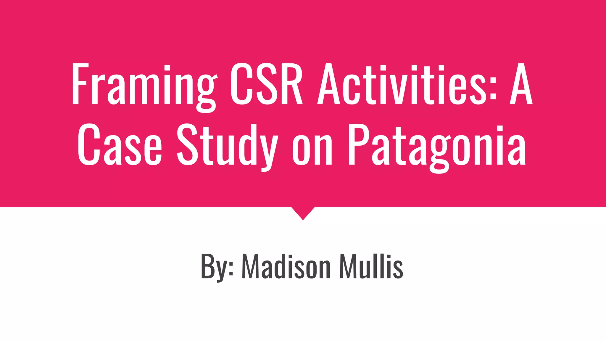 Framing CSR activities: A case study on patagonia | PPTX