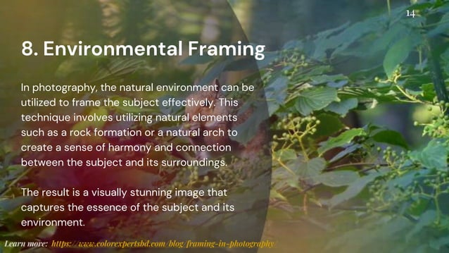 Framing in Photography - A Complete Guide.pptx