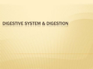 Digestive System & Digestion | PPTX