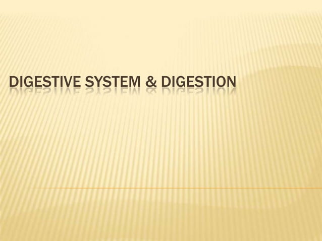 Digestive System & Digestion | PPT
