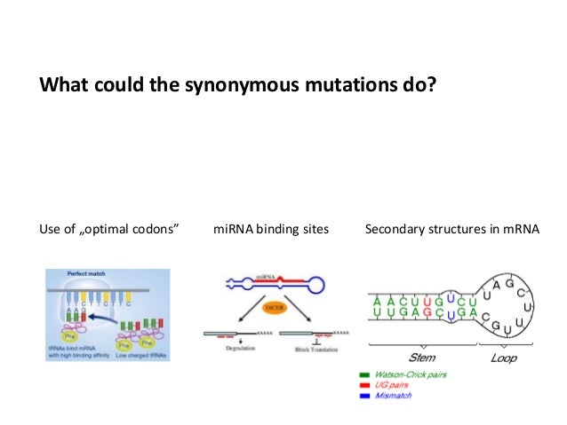 Synonymous mutations as drivers in human cancer genomes.