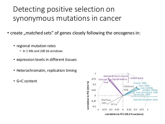 Synonymous mutations as drivers in human cancer genomes.