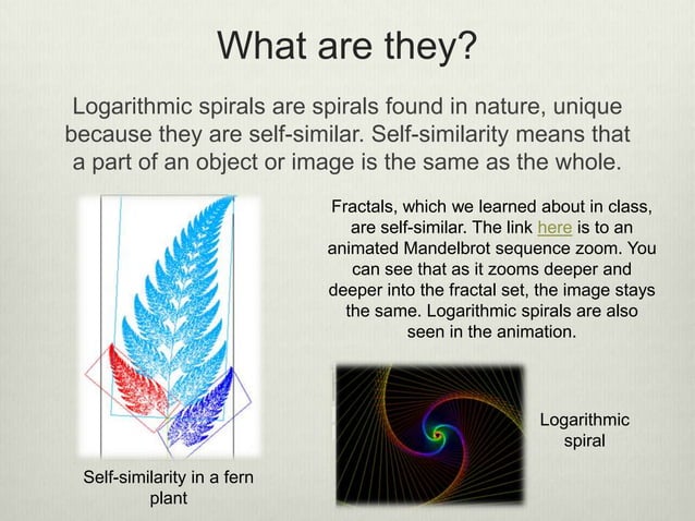 Logarithmic Spirals | PPTX | Geography | Science