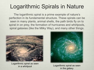 Logarithmic Spirals | PPTX