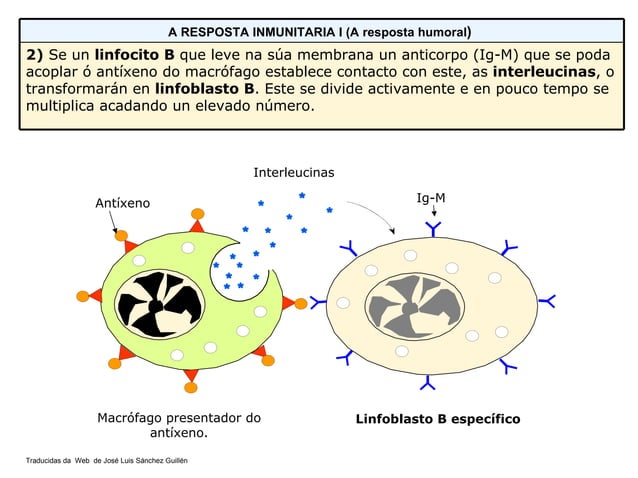 Francisco Cotelo | PPT