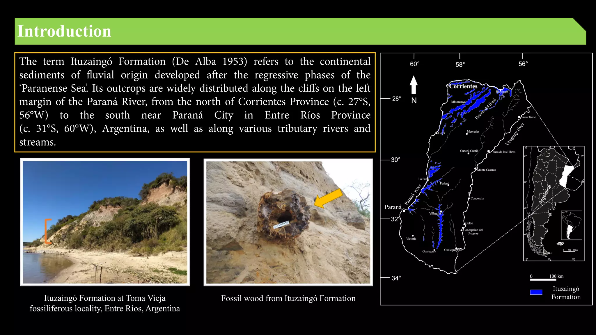 Title: Miocene? paleoenvironments of Ituzaingó Formation (northeast ...