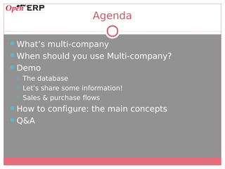 OpenERP - Multi-company | PDF