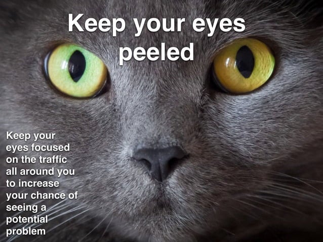 Frank Azar's Tips For Avoiding a Car Crash | PPT