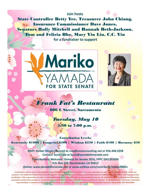 Flyer - State Senate Campaign | PDF